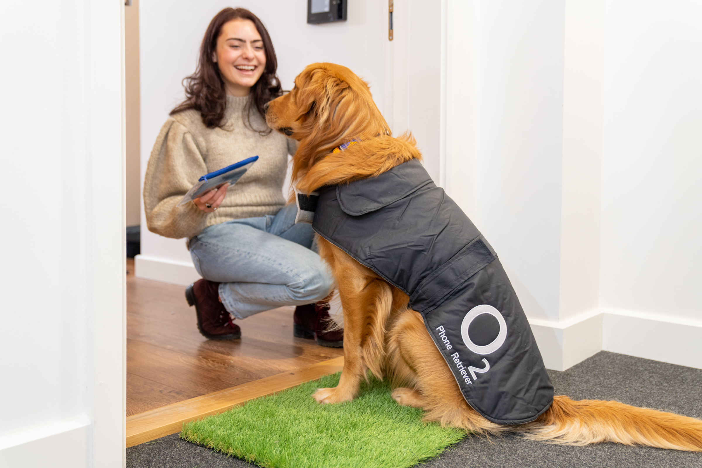 O2 launches “Phone Retriever” service with dog duo, Huxley and Hugo, to ...